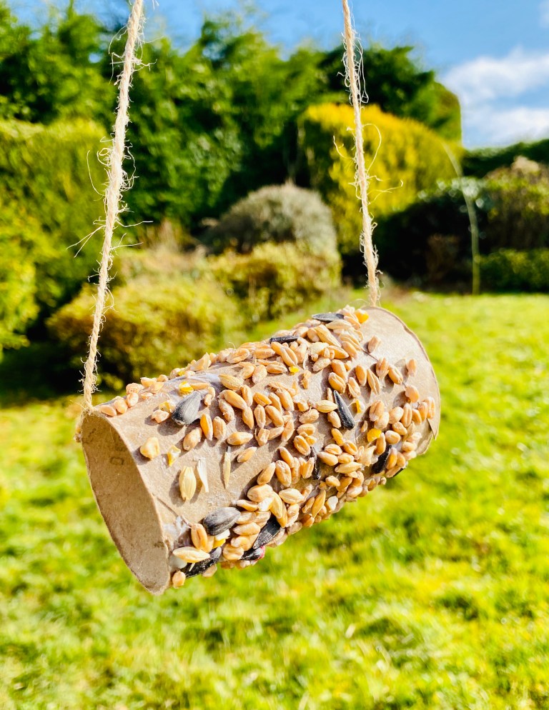 Spring STEM Activities – weeSTEMs