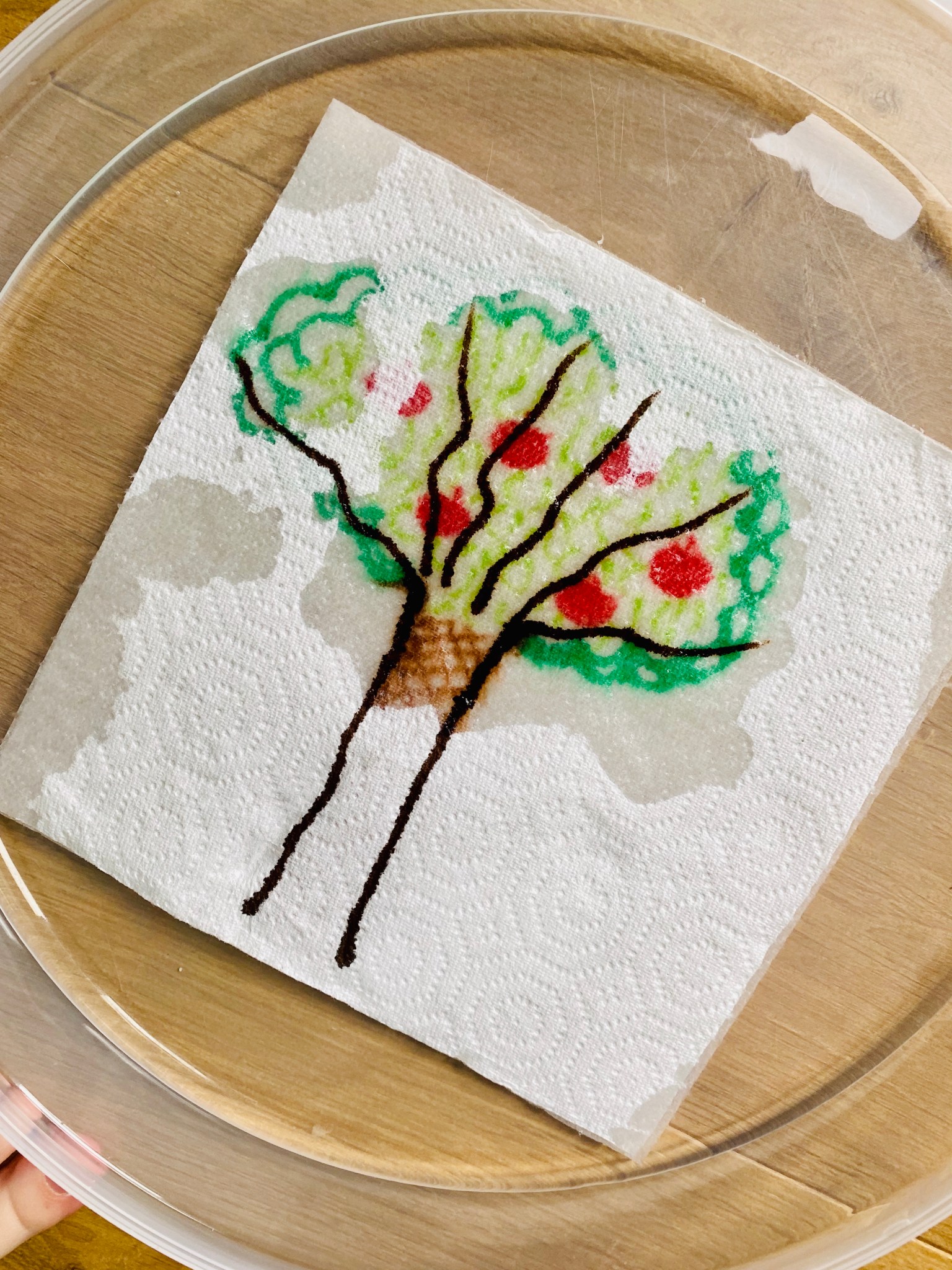 Spring STEM Activities – weeSTEMs