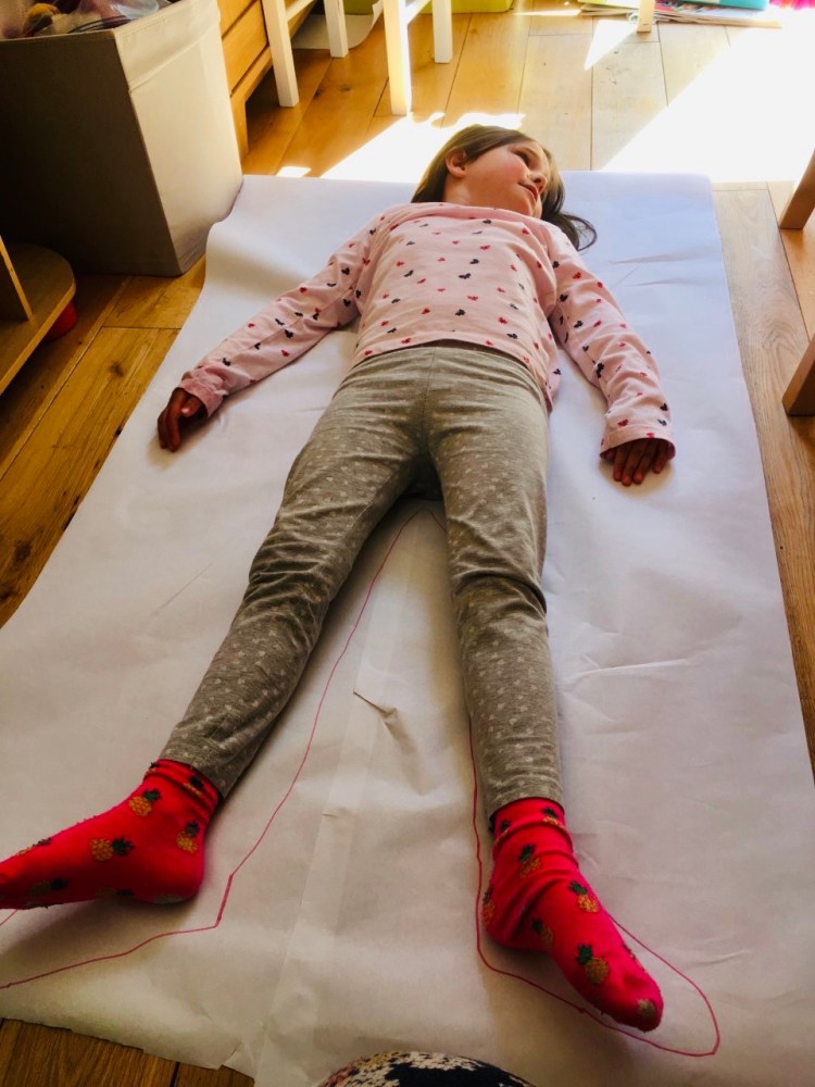 How My Body Works – weeSTEMs