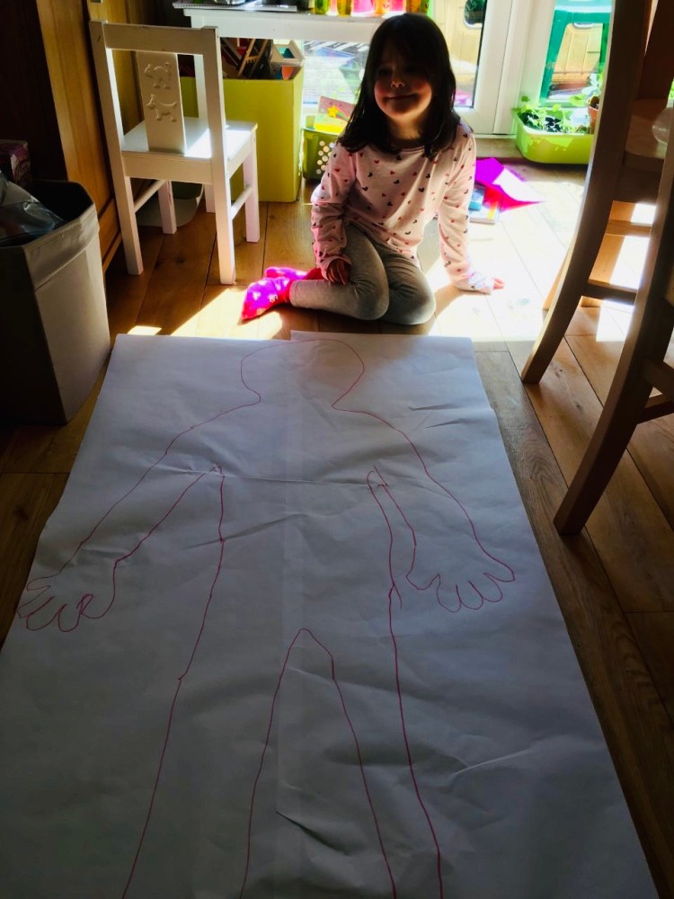 How My Body Works – weeSTEMs