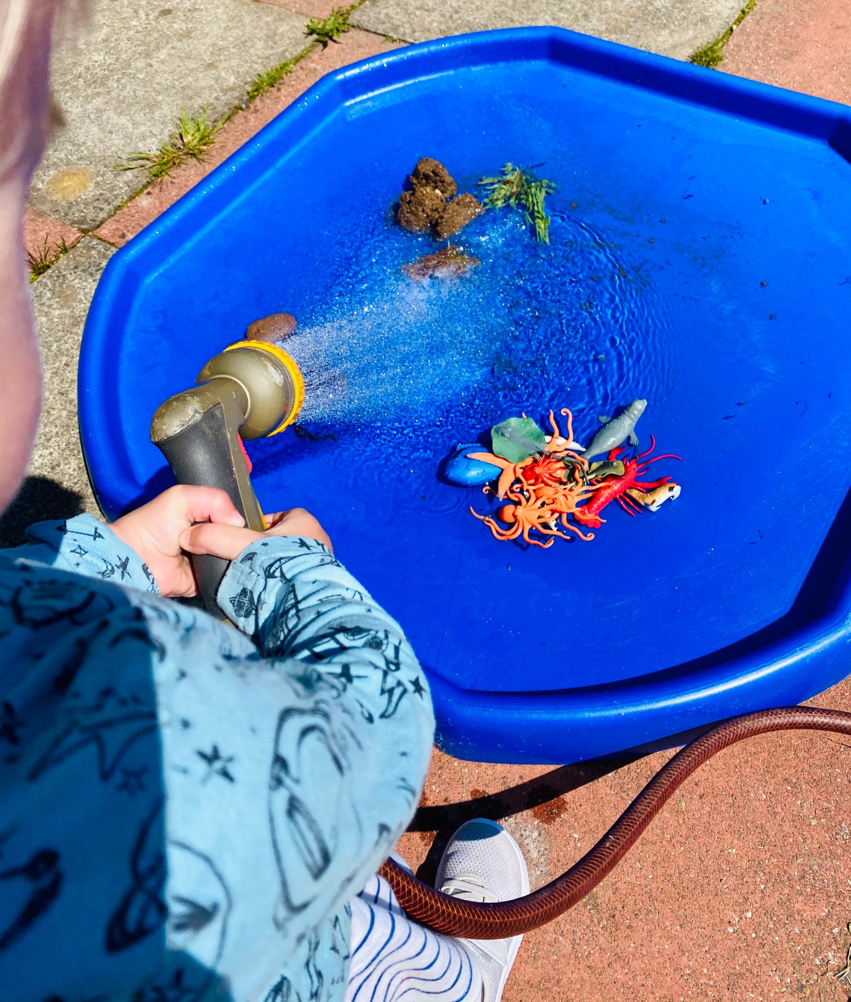 The Ocean – weeSTEMs