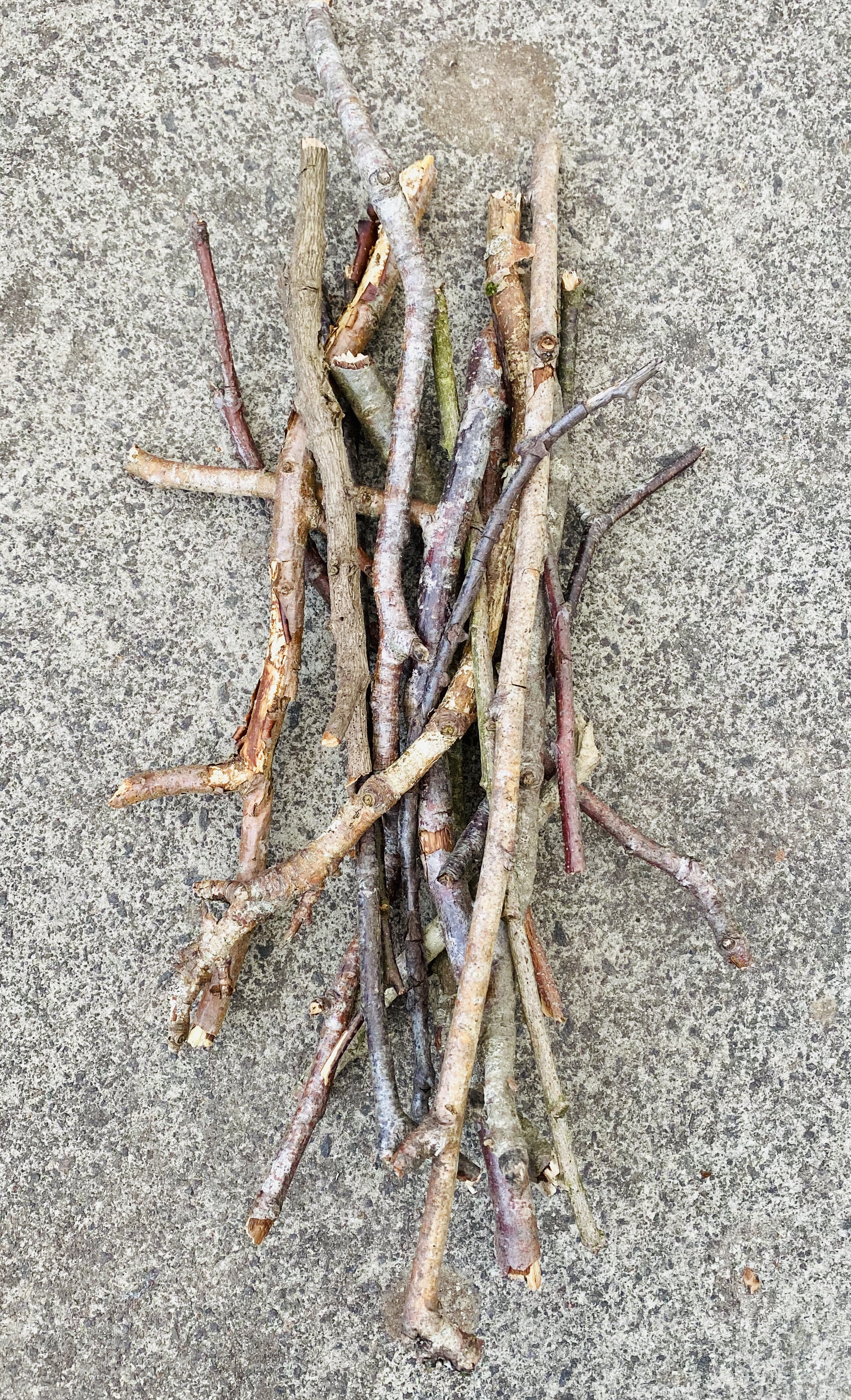 Maths – indoors and outdoors – weeSTEMs